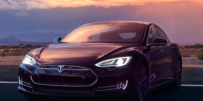 Tesla's Elon Musk shows the world his D ... and it's a monster • The ...