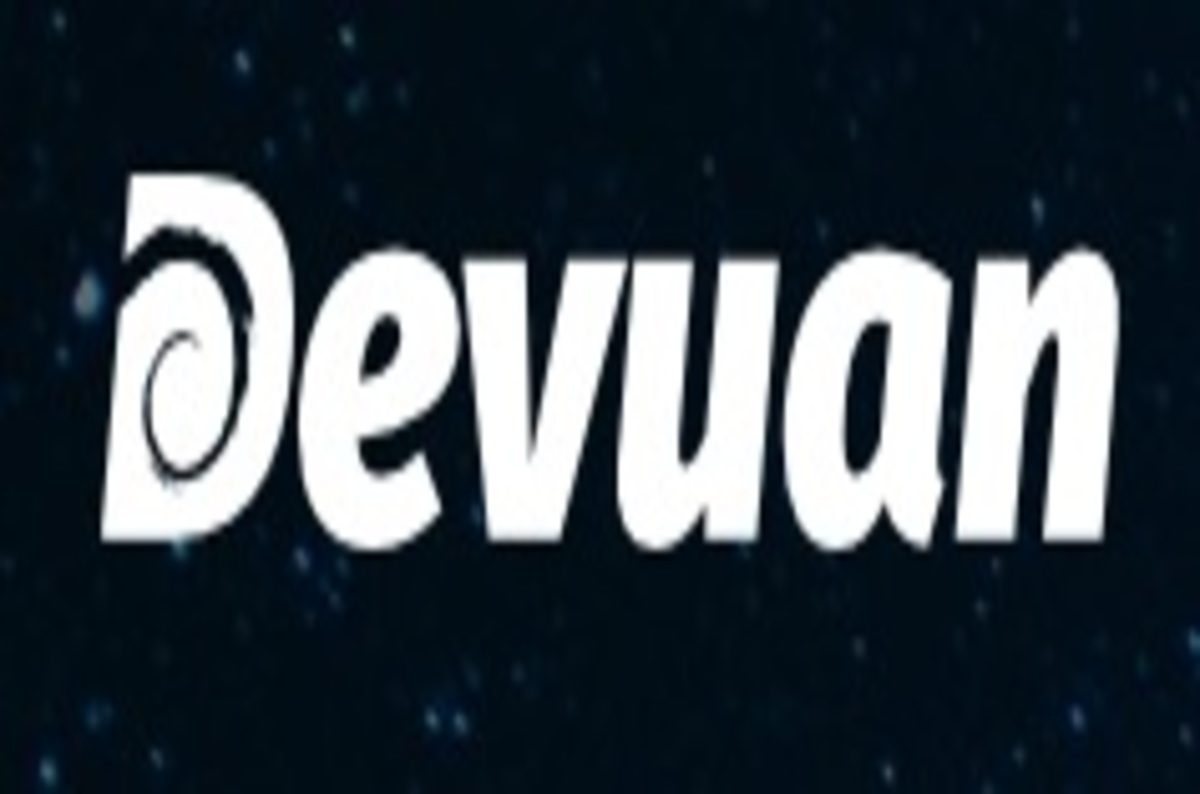 Devuan rebels hope to deliver Debian fork in 2015 • The Register