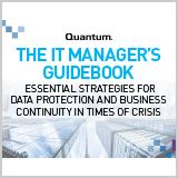 The IT Manager's Guidebook: Essential Strategies For Data Protection ...