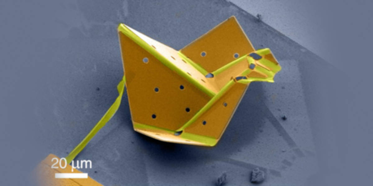 Watch it go: World's smallest self-folding origami bird that reminds us ...