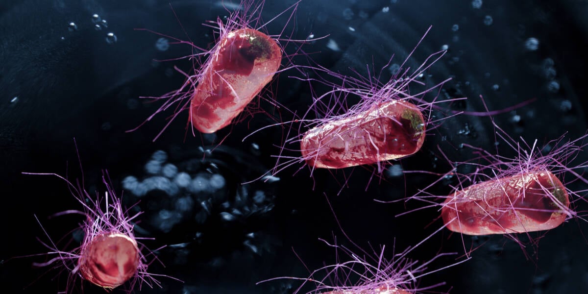 Genetically modified bacteria produce next-gen 3D print ink • The Register