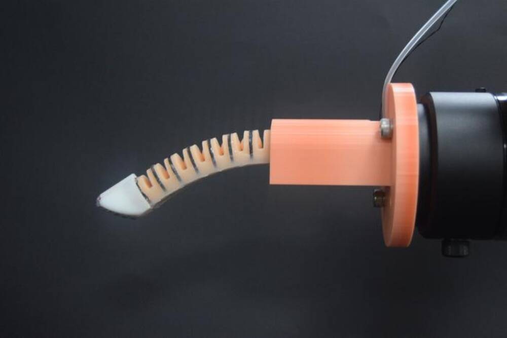 Chinese boffins build soft robot finger for intimate probes • The Register