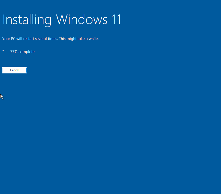How to set up Windows 11 with a local account • The Register